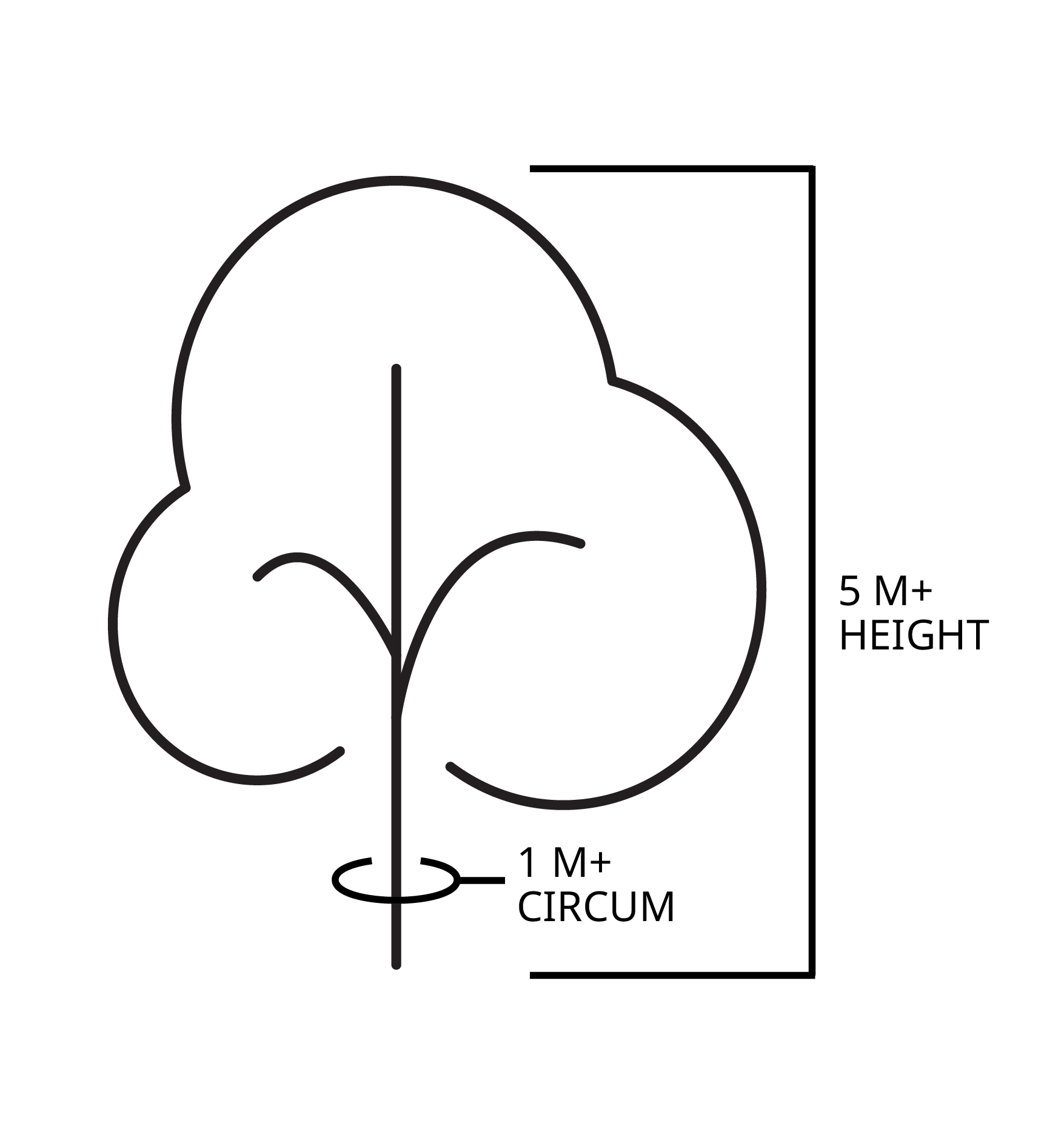 Step 3: Additional Approvals for Vehicle Crossings | Whitehorse City ...