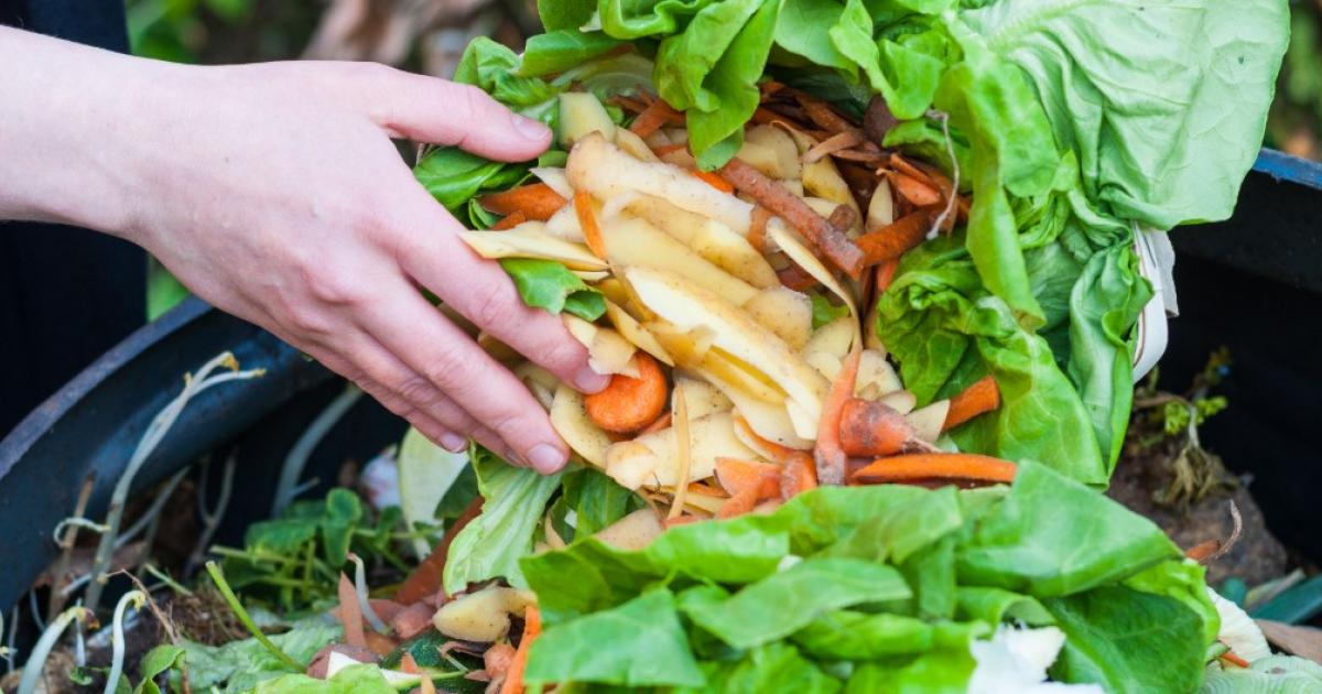 Composting and Reducing Food Waste | Whitehorse City Council