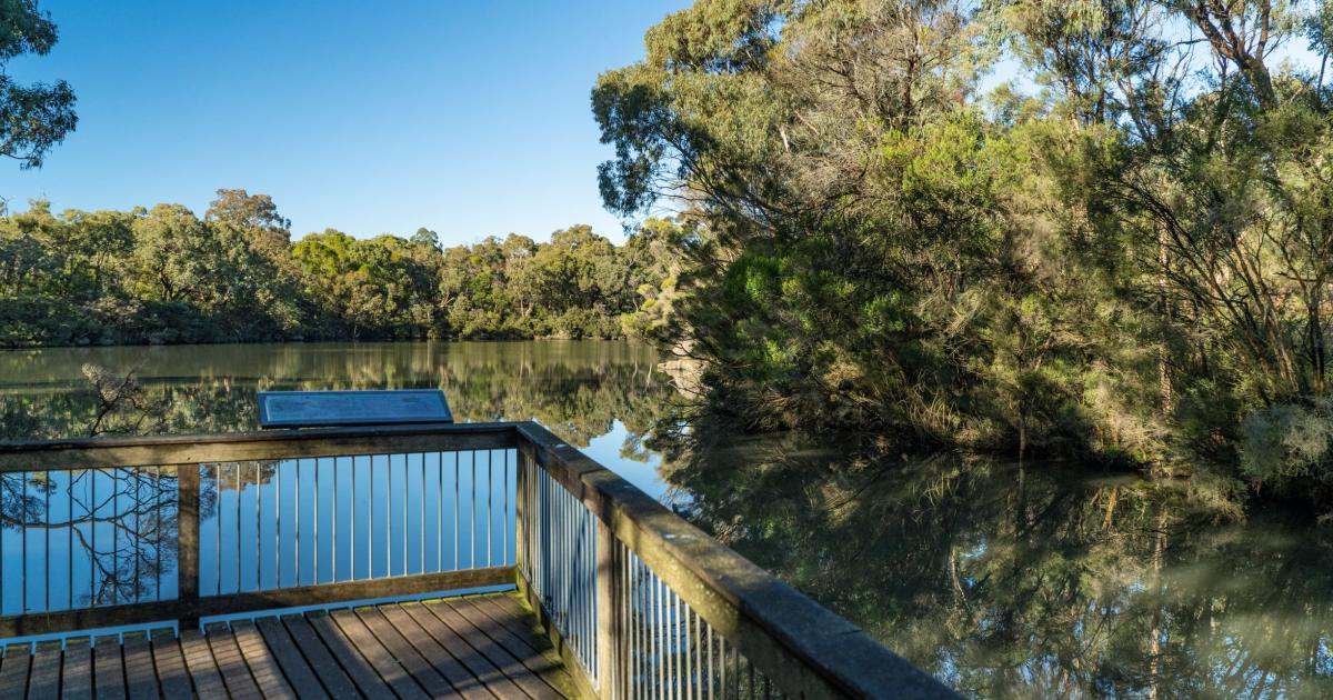 Blackburn Lake Surrounds Study | Whitehorse City Council