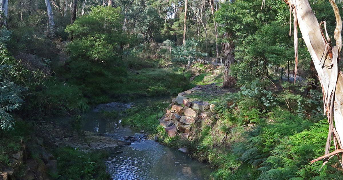 Natural Environment | Whitehorse City Council