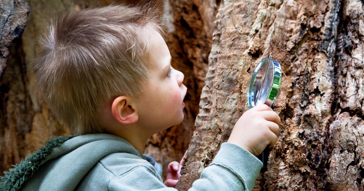 Early Years Environmental Education - Incursions | Whitehorse City Council